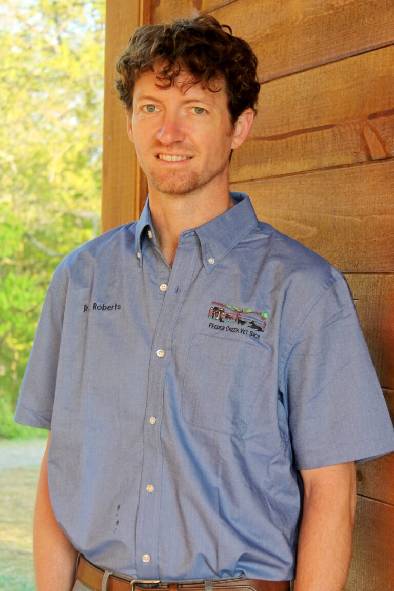 Veterinarian In Millersport, OH 43046 | Feeder Creek Veterinary Services